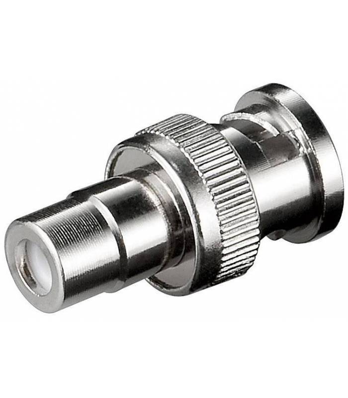 Lox 100x fiche BNC